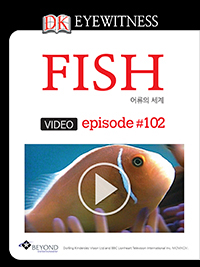 아이들이북 ★우리집 영어도서관★