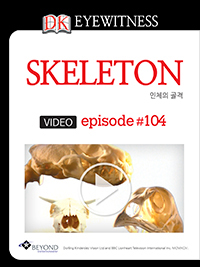 아이들이북 ★우리집 영어도서관★