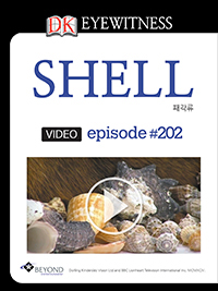 아이들이북 ★우리집 영어도서관★